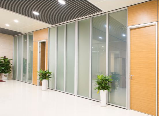 Frameless Glass Partition Wall factory, Buy good quality Frameless ...